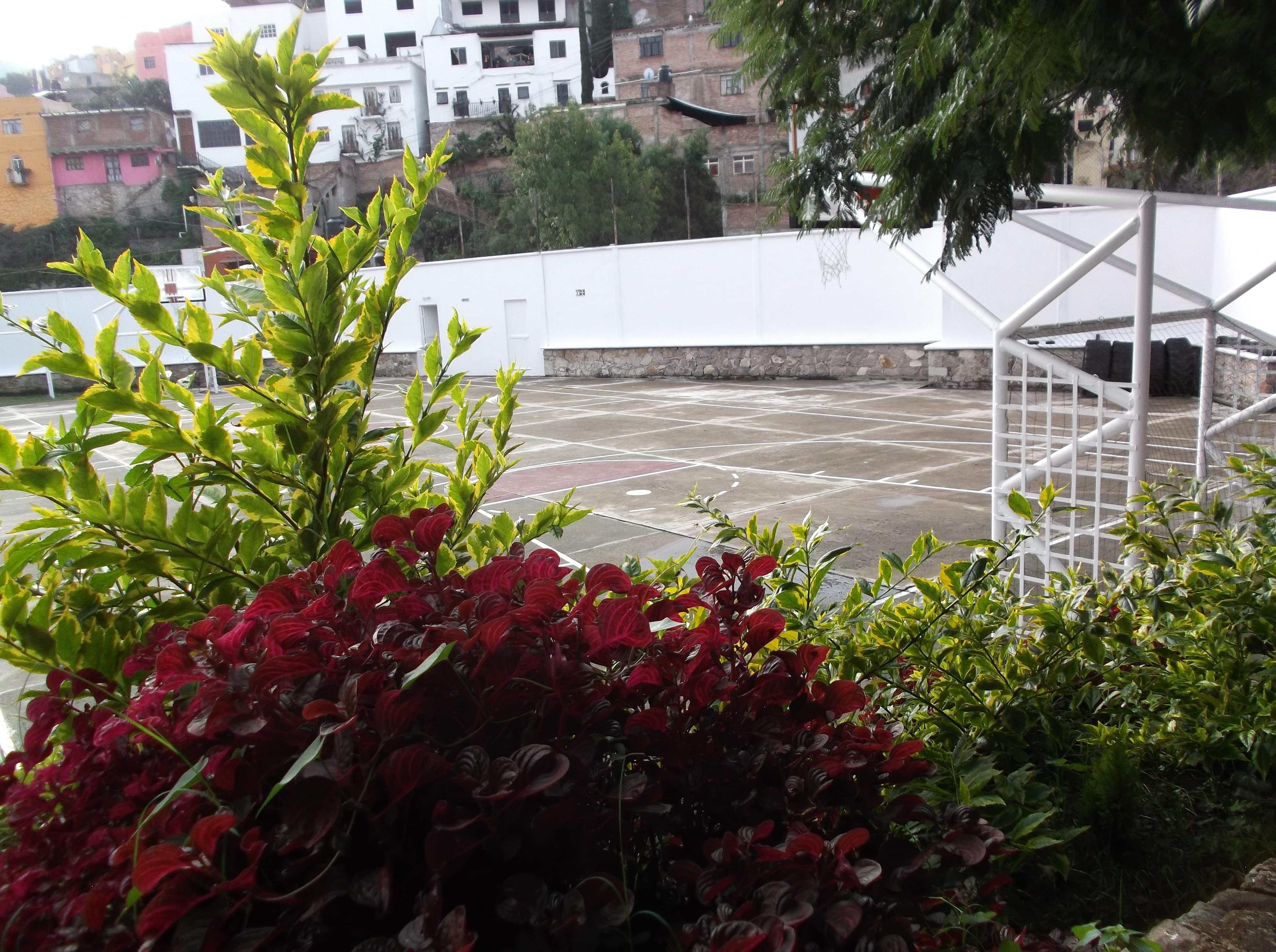 Sistema Integral iimo v1.0